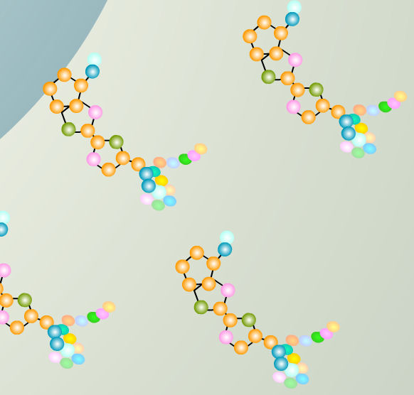 ¿Por qué y cómo emiten luz las luciérnagas? - Blogodisea
